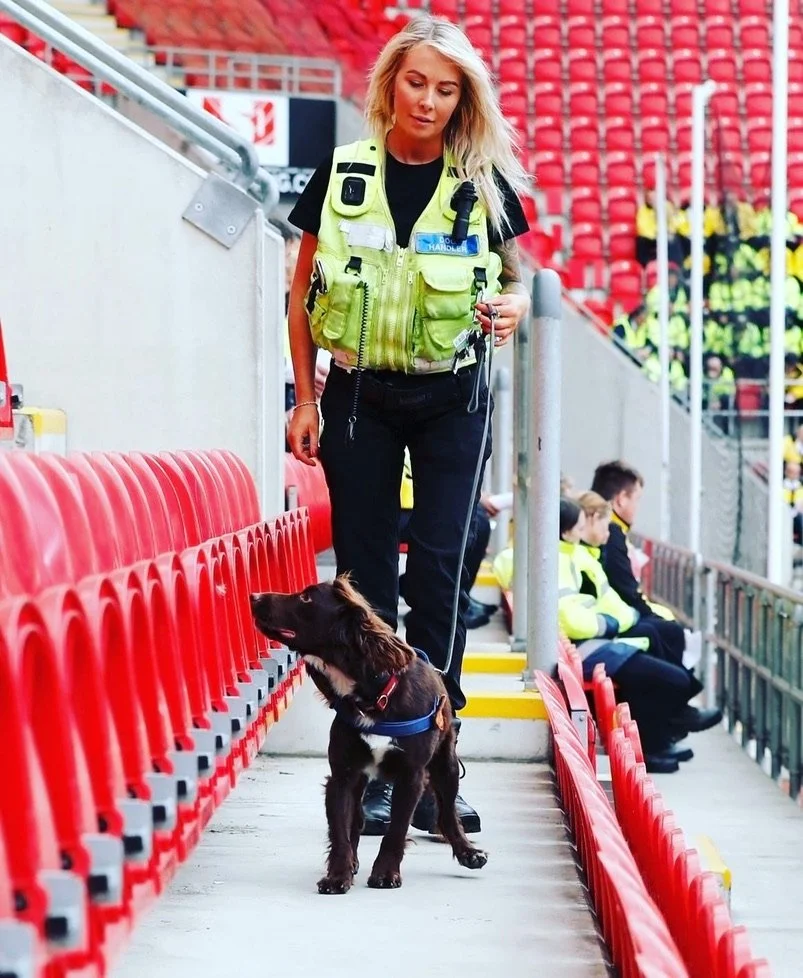 SIA Licensed Security Dog Handlers — Code 9 Security® | Security Services in Hampshire and the ...